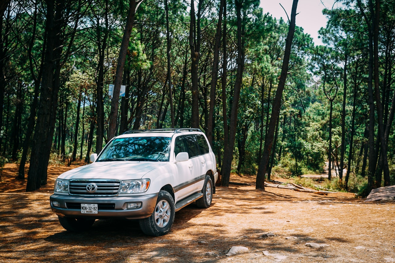 How To Make an Off-Roader Durable? - Dreams wire