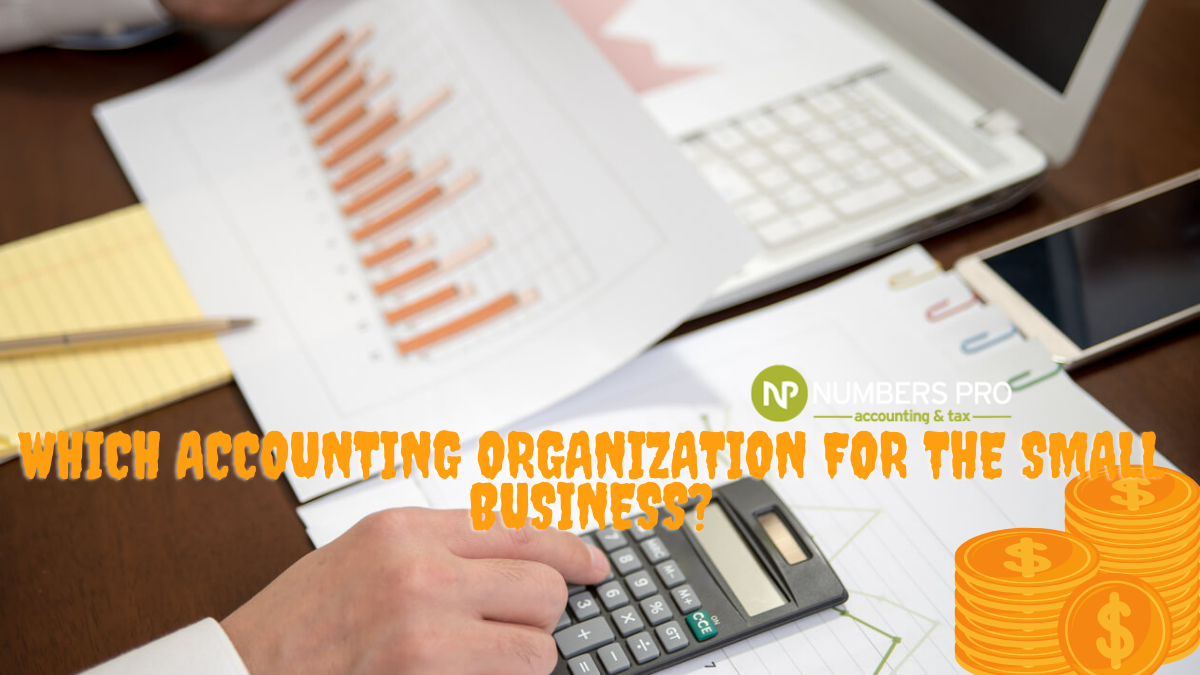 Which accounting organization for the small business? - Dreams wire