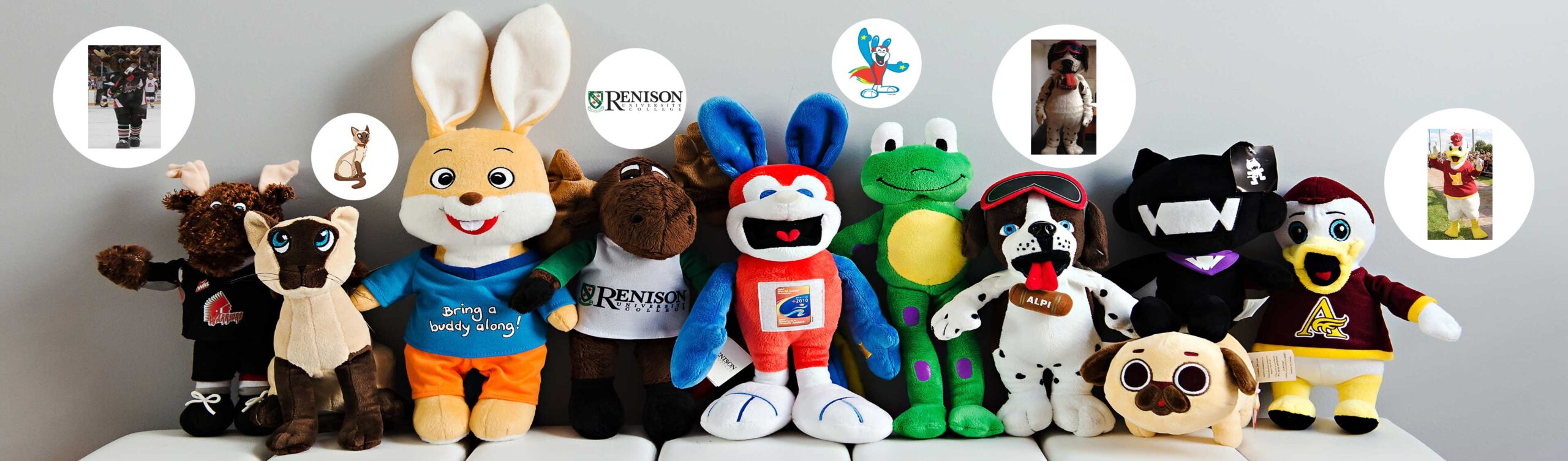How to Do Your Plush Toys Customization? - Dreams wire