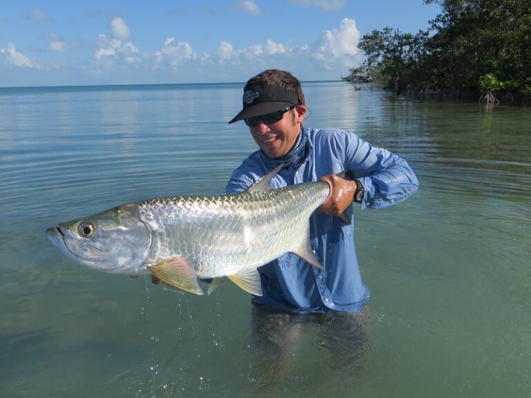 Is Tarpon Fish Edible? Make Fish Cakes with Salmon-Like Tarpon - Dreams ...