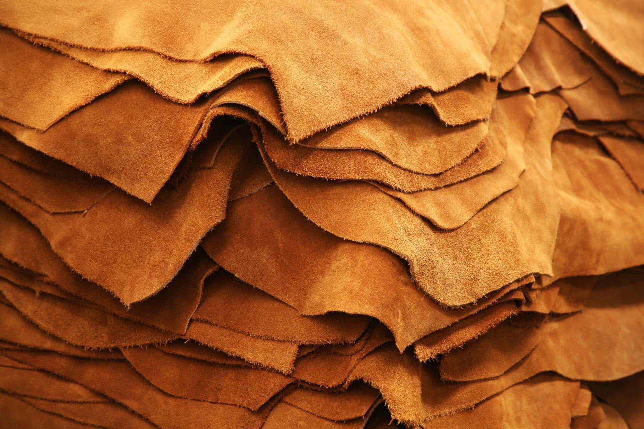 Is Leather Edible? Pros And Cons Of Eating Leather! - Dreams wire