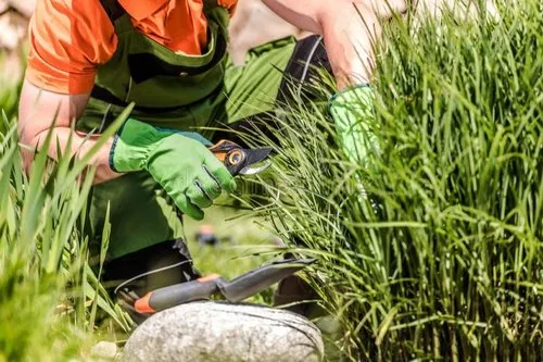 Hiring a Landscaping Handyman to Get Your Yard in Shape in Snellville ...