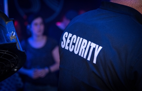 Ensuring Safety and Order: A Deep Dive into Professional Crowd Control ...