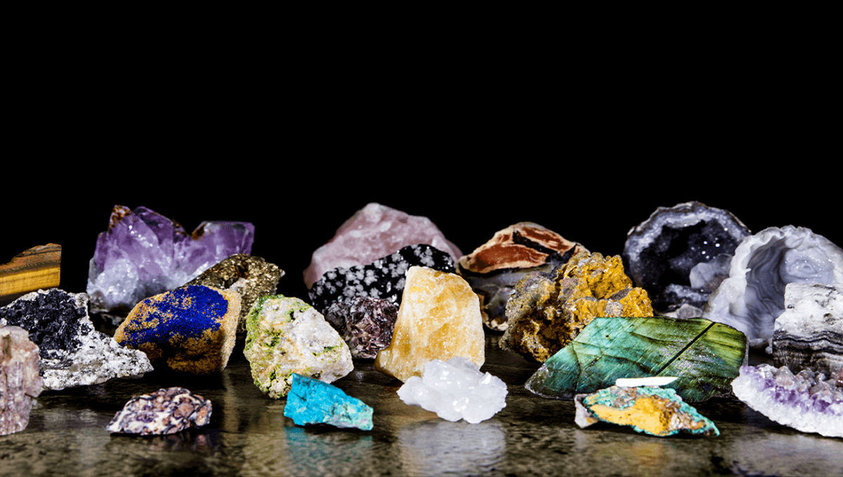 Dreams wire - We Love To Dream